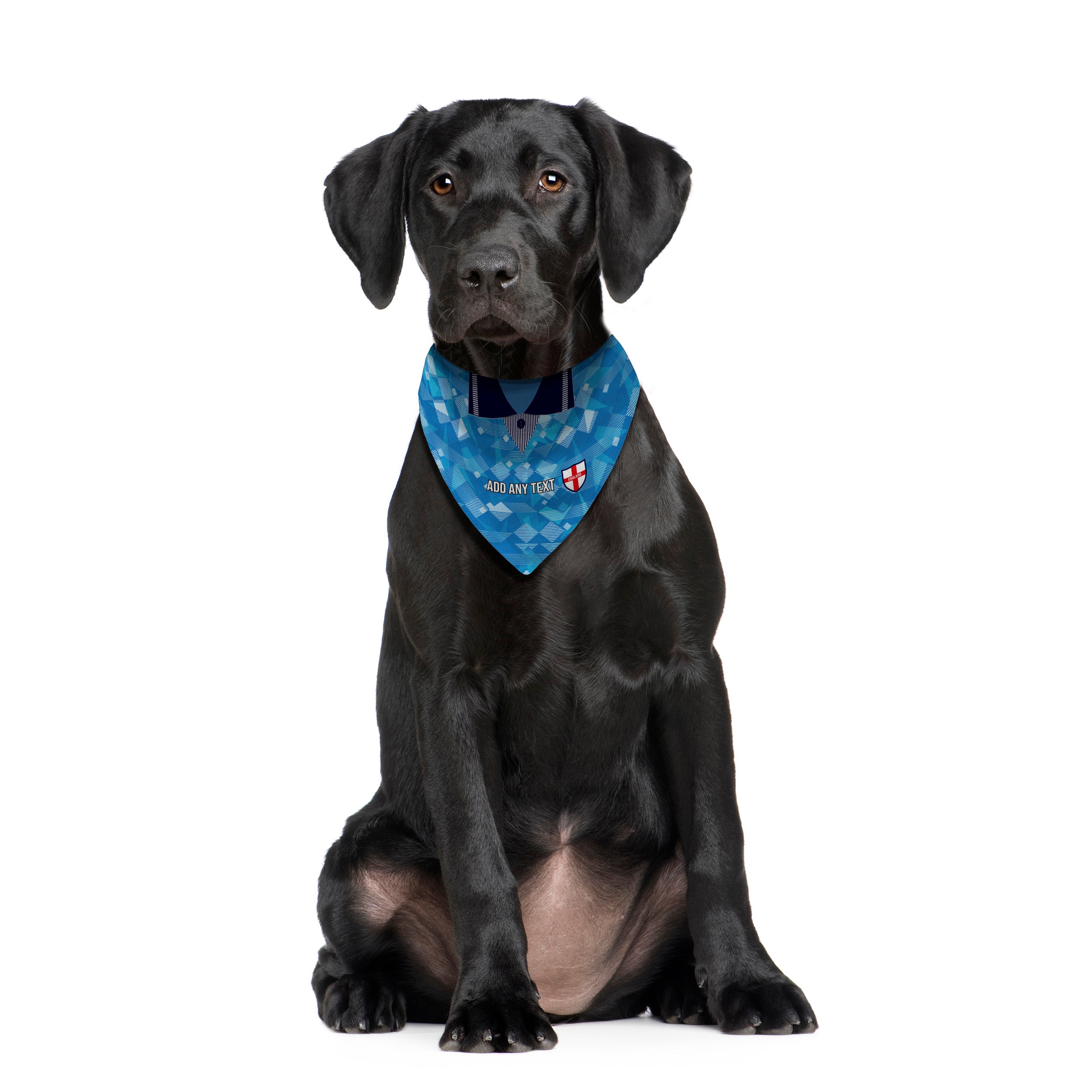 England 1990 3RD Shirt - Personalised Pet Bandana - 4 Sizes
