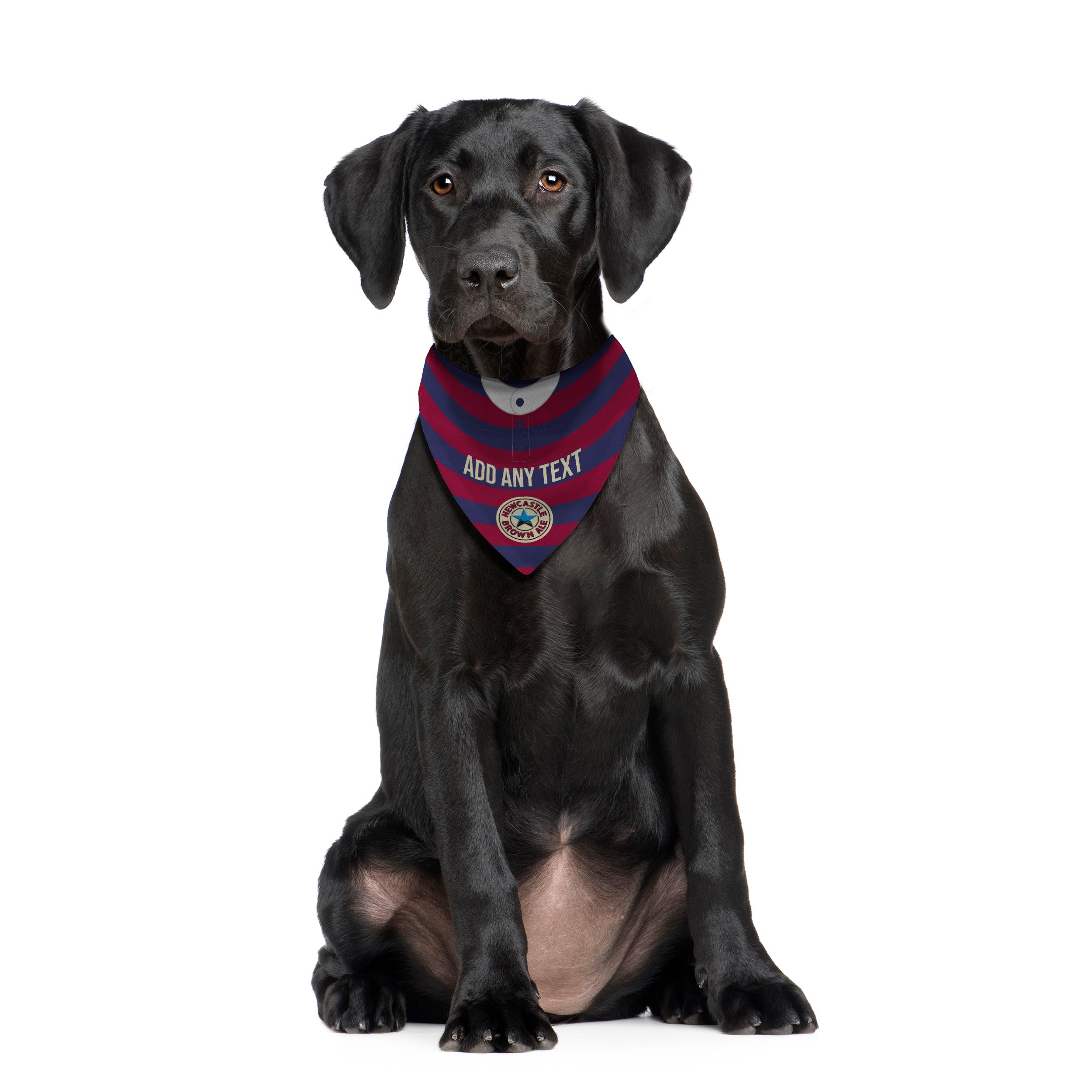 Newcastle 1996 Away Shirt - Personalised Pet Bandana - 4 Sizes